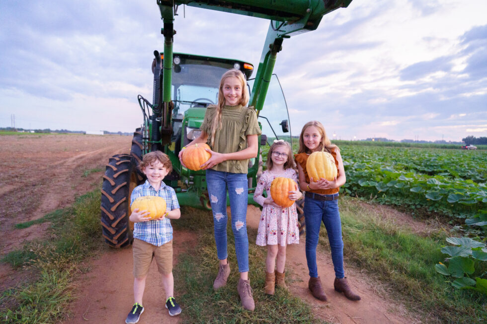 DixieMaze Farms | Fresh Picked Memories